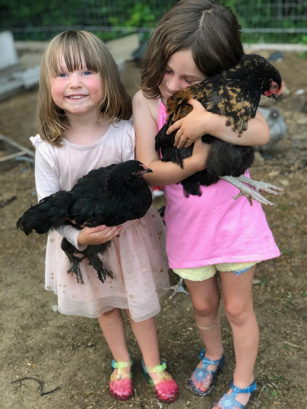 Snuggles, Books with Buns & Chats with Chicks — Good Pickin' Farm