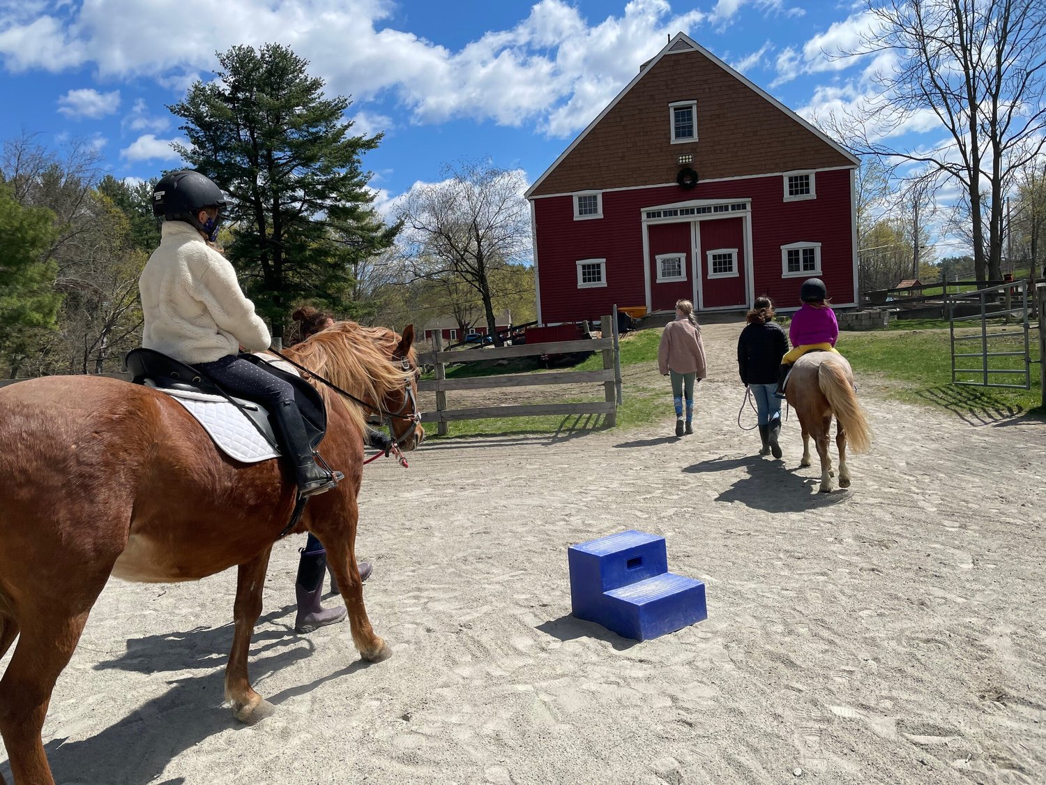 Pony Camps — Good Pickin' Farm