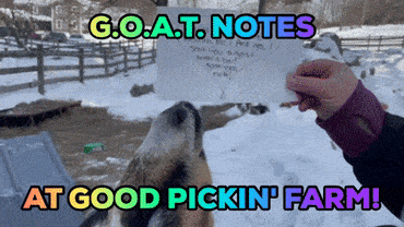 Farm Shop & Online Store at Good Pickin' Farm — Good Pickin' Farm