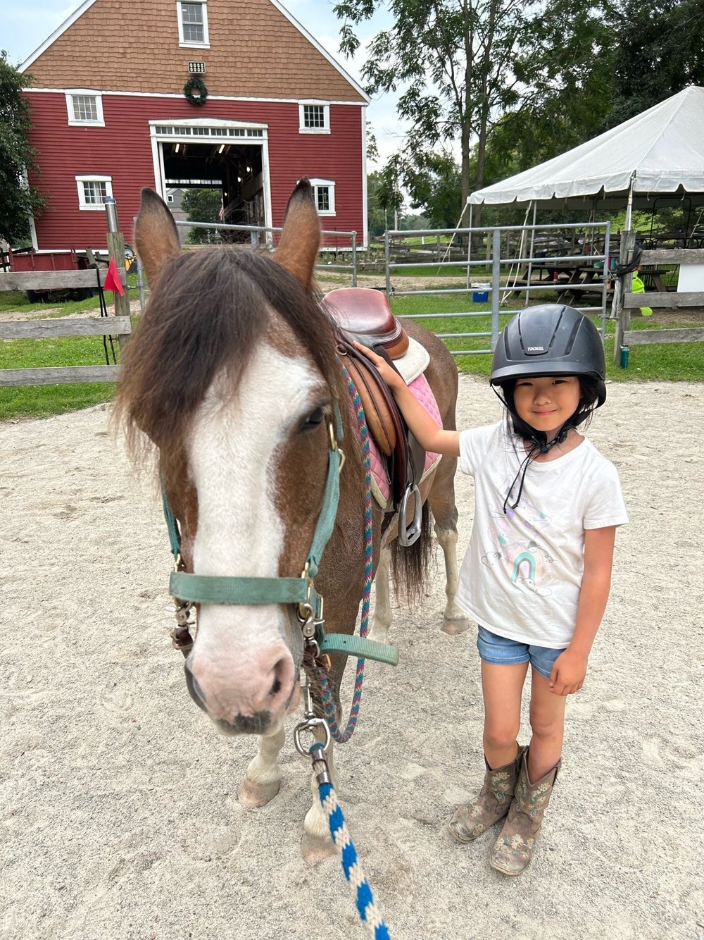 Pony Camps — Good Pickin' Farm