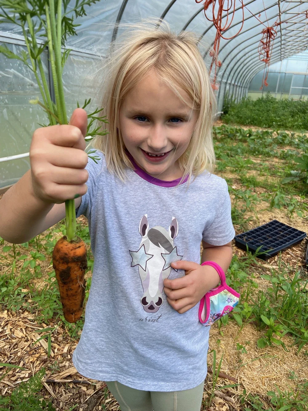 Gallery 3 — Good Pickin' Farm