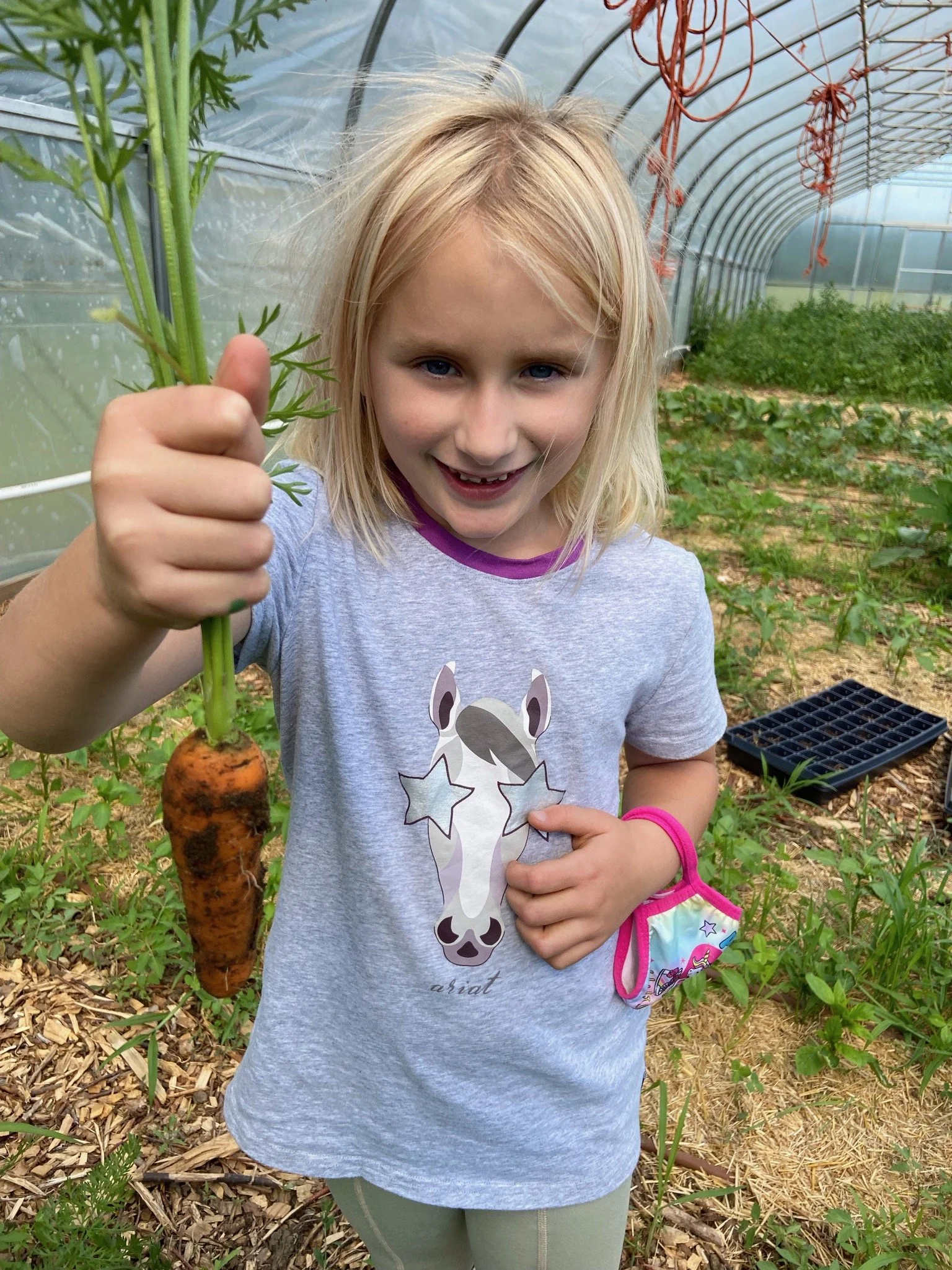 Gallery 3 — Good Pickin' Farm