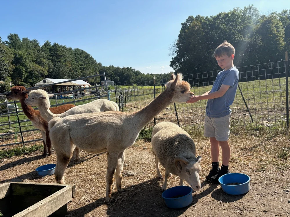 Plan Your Visit — Good Pickin' Farm