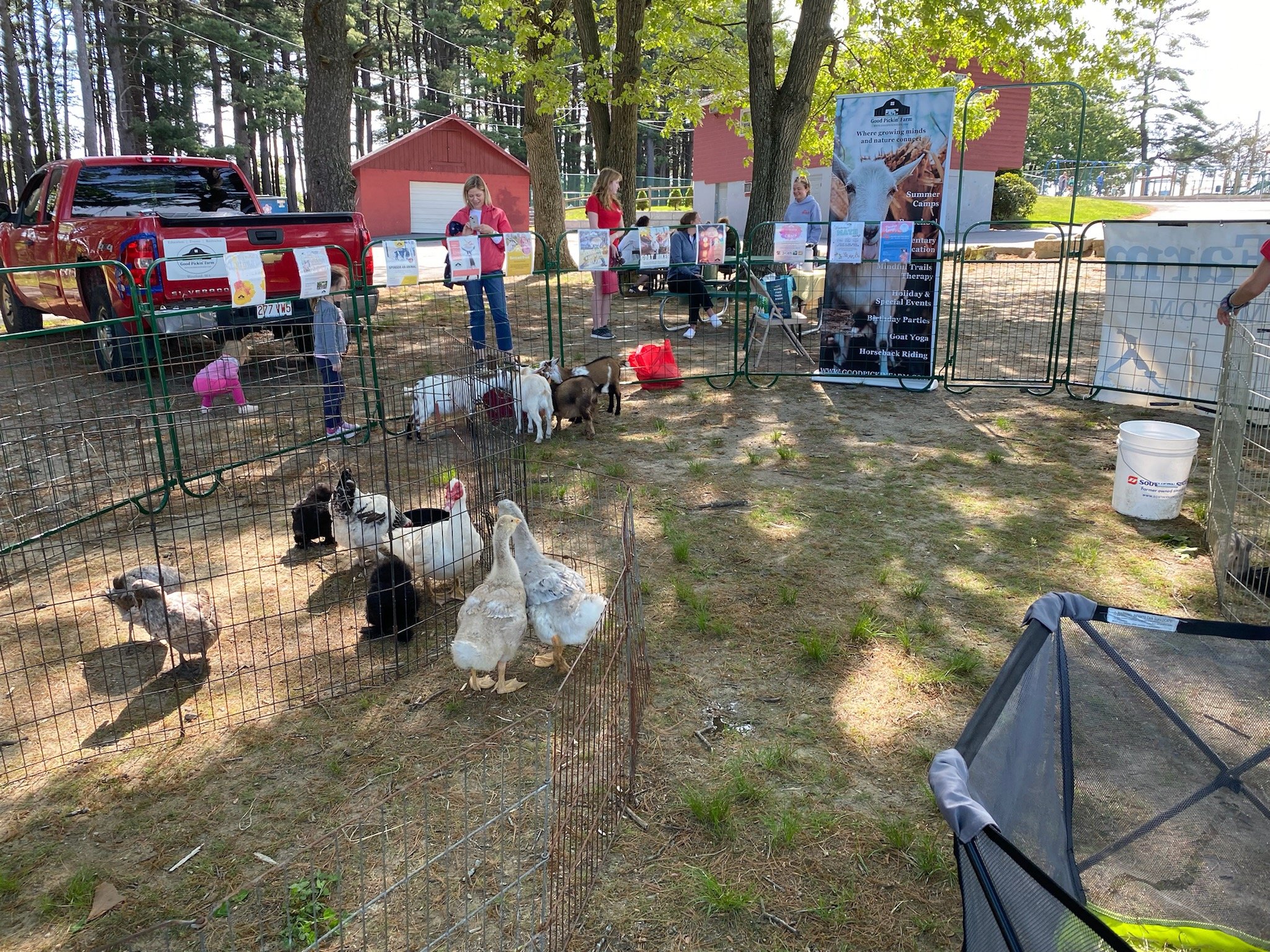 Gallery 3 — Good Pickin' Farm