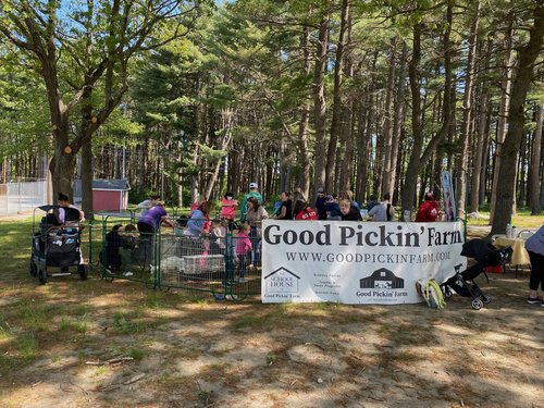 Plan Your Visit — Good Pickin' Farm