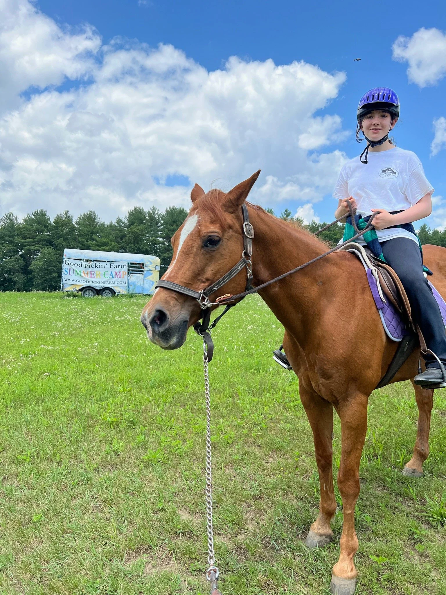Pony Camps — Good Pickin' Farm