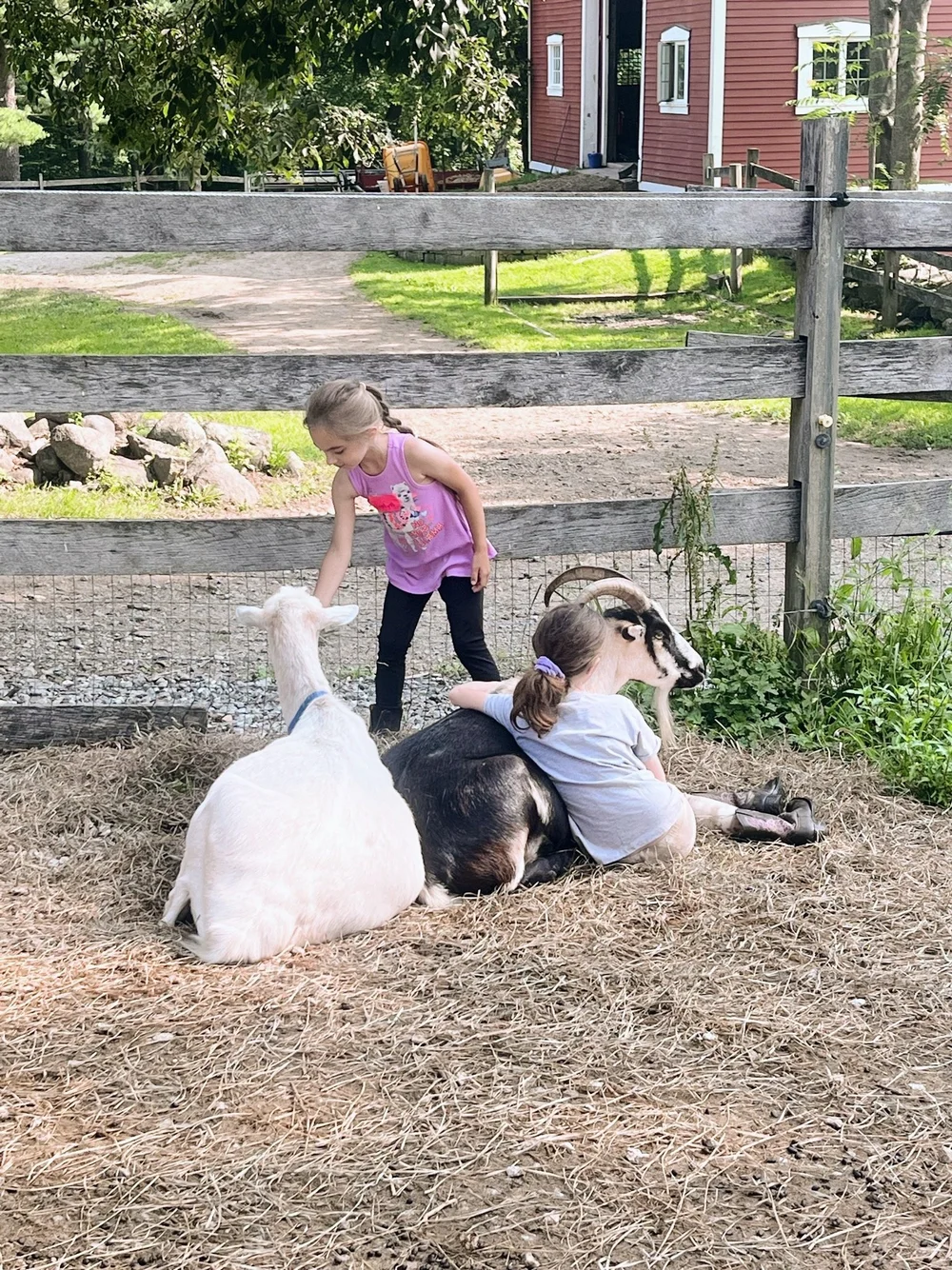 Good Pickin' Farm