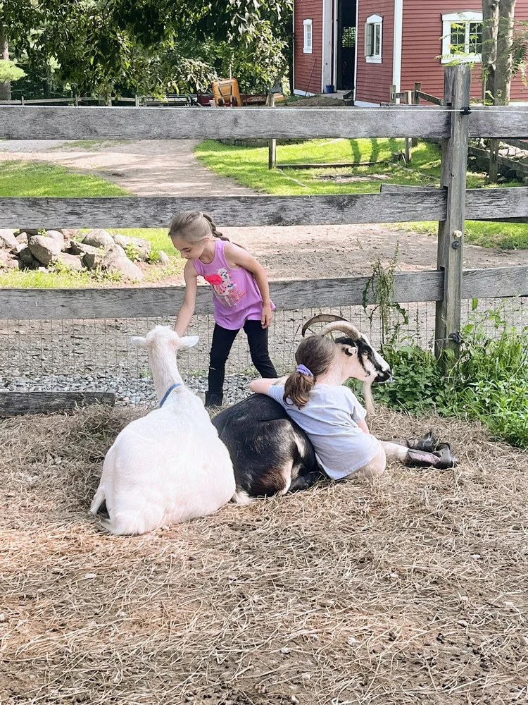 Good Pickin' Farm