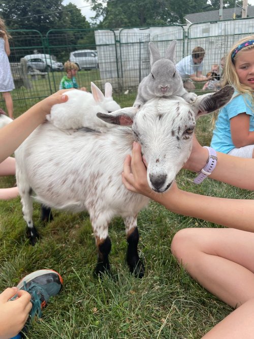 Farm Birthday Parties — Good Pickin' Farm