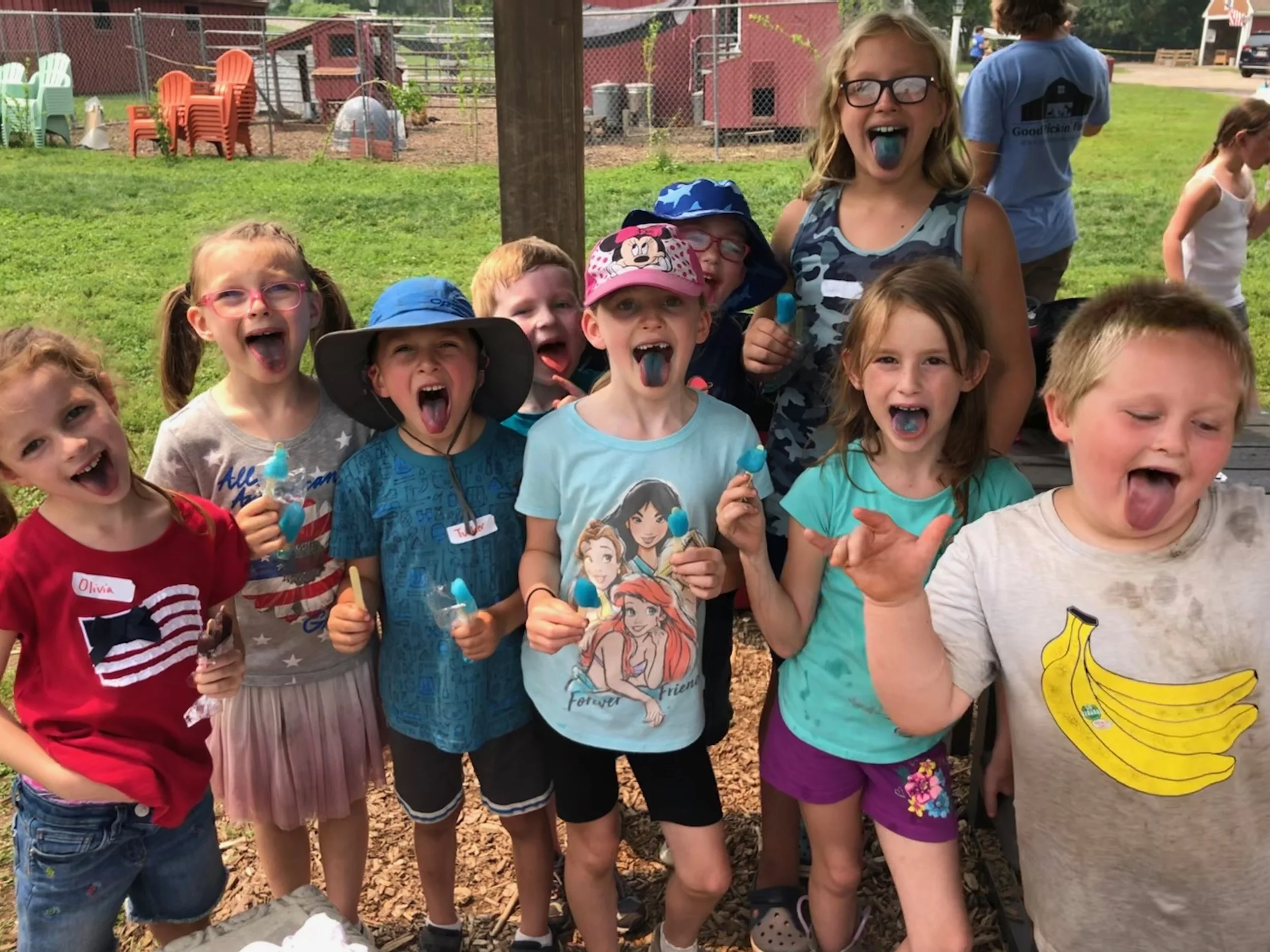 Summer Farm Camp — Good Pickin' Farm