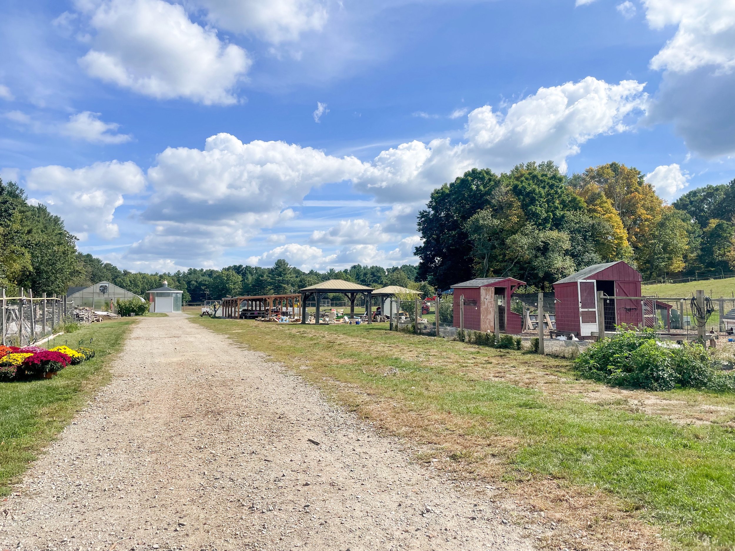 Farm Birthday Parties — Good Pickin' Farm