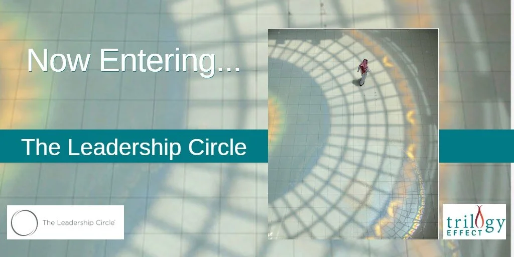 Enter the Leadership Circle — Trilogy Effect