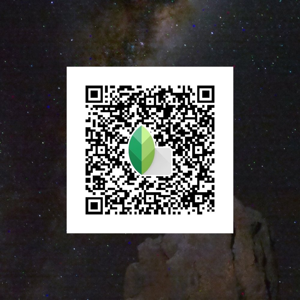 Free Snapseed presets — Shayne Mostyn