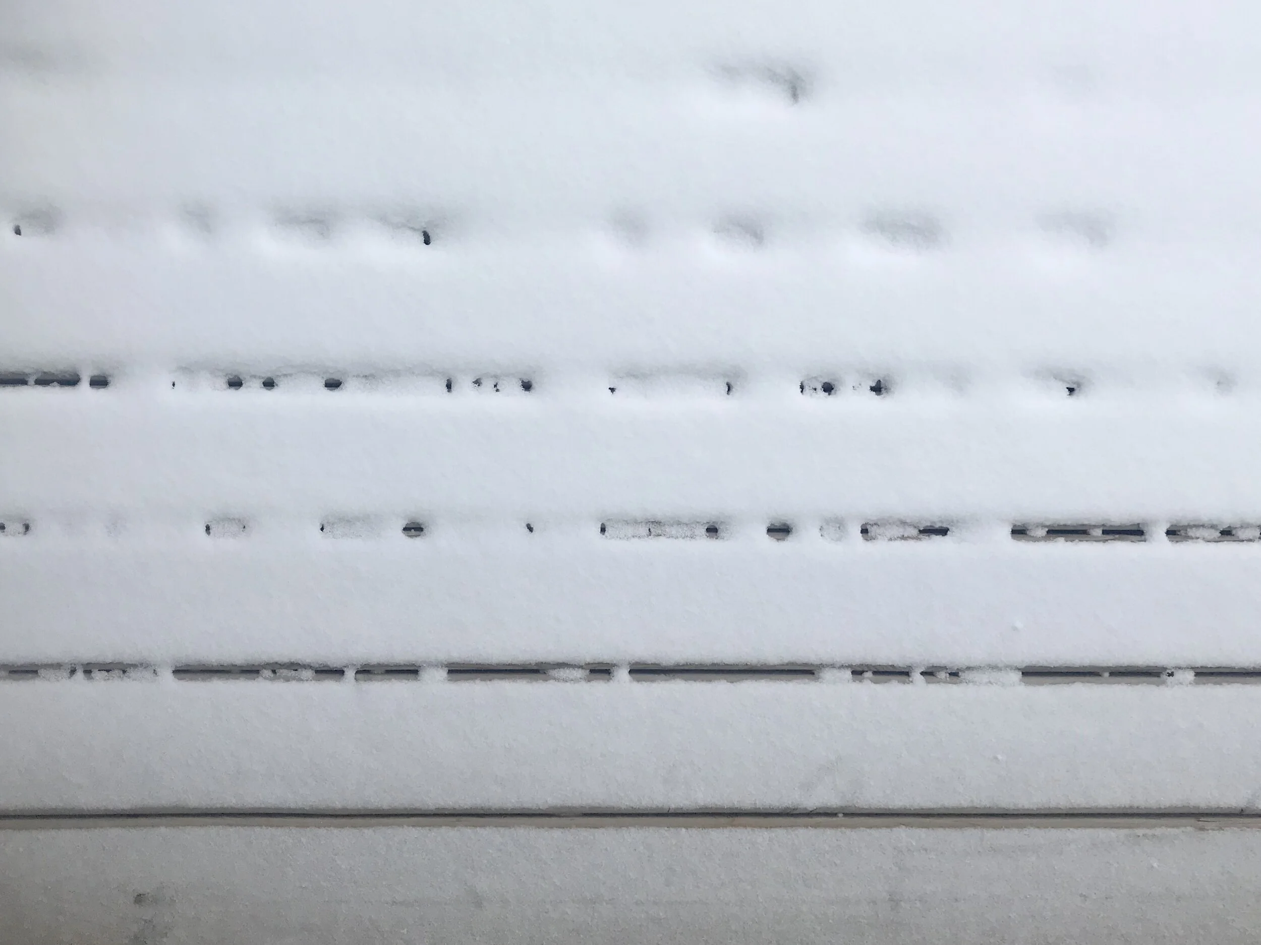 TV — Dominik Diamond