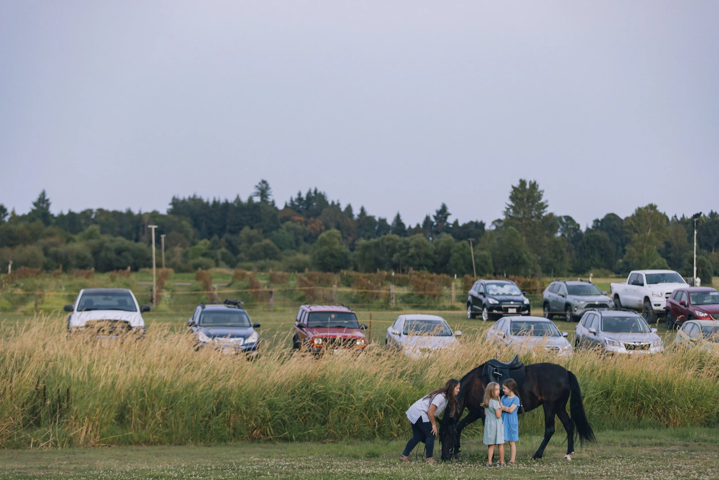 live-music0 | Topaz Farm