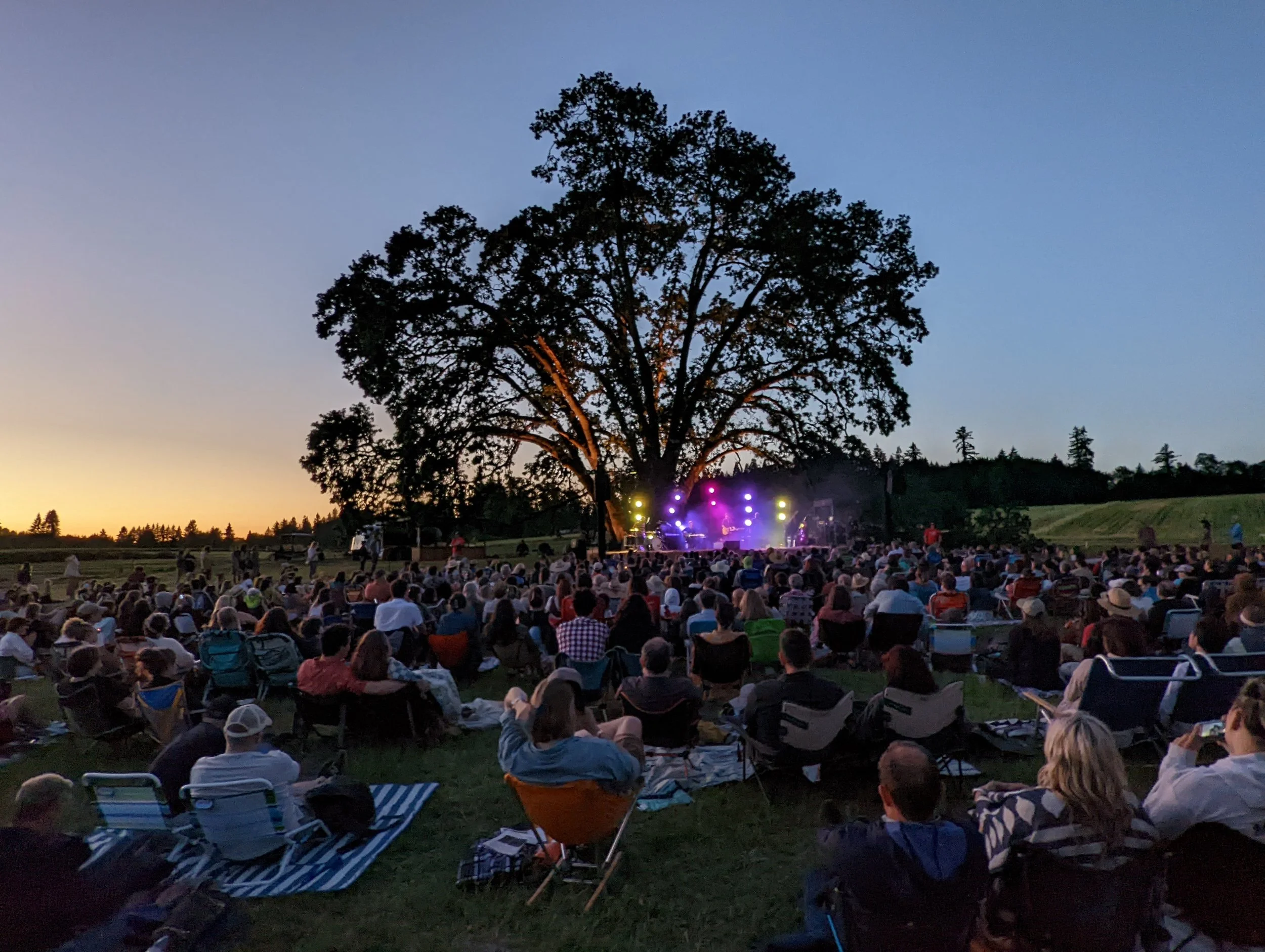 live-music0 | Topaz Farm