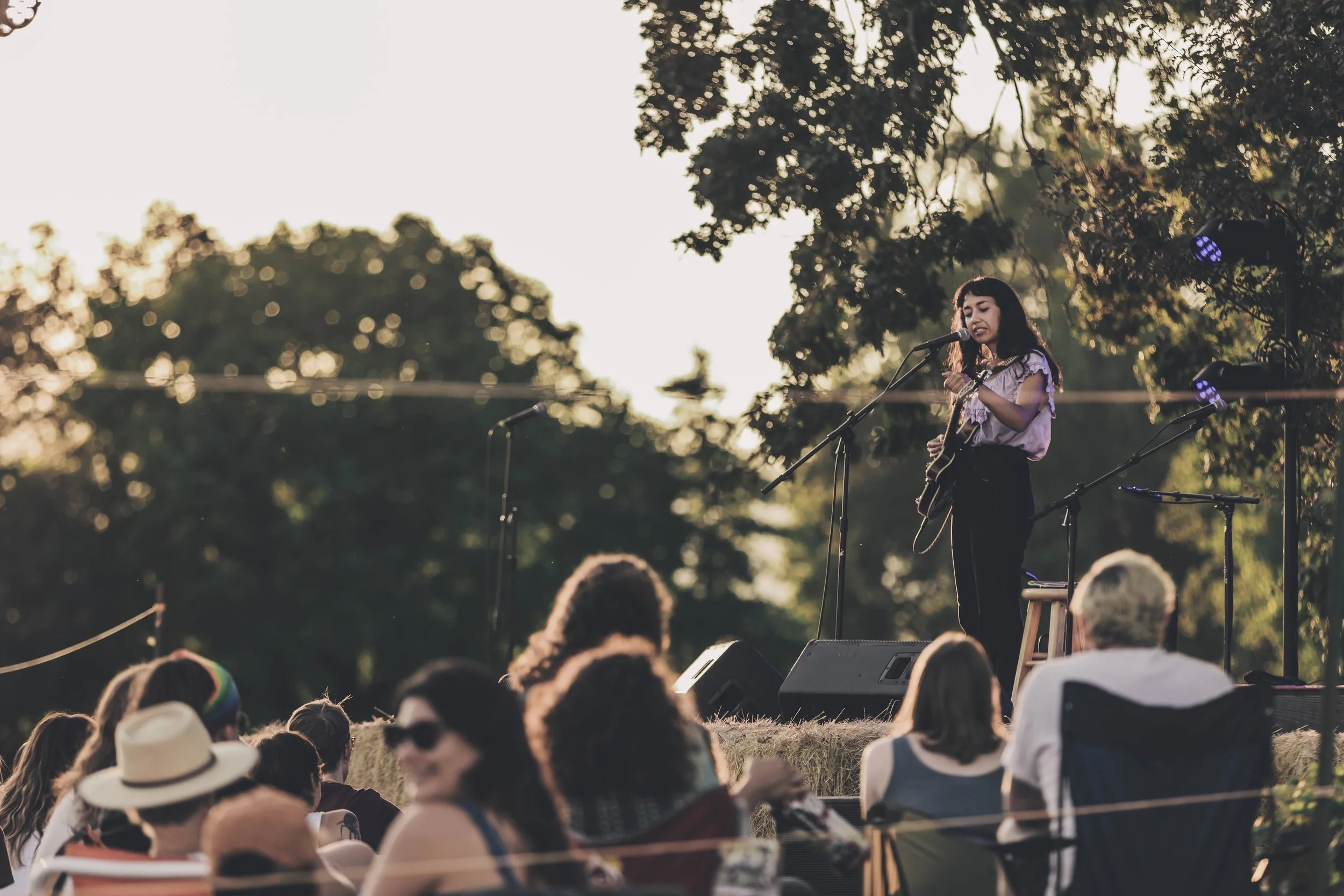 live-music0 | Topaz Farm