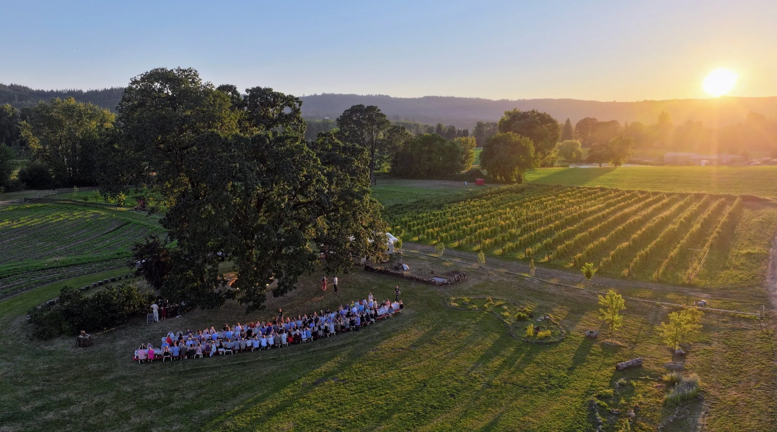 Farm to Plate | Topaz Farm