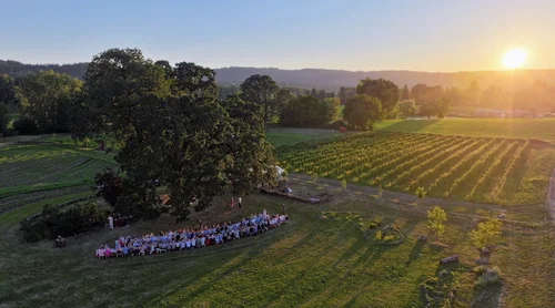 Farm to Plate | Topaz Farm