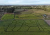 Topaz Farm | Pumpkin Patch & U-Pick | Sauvie Island Portland