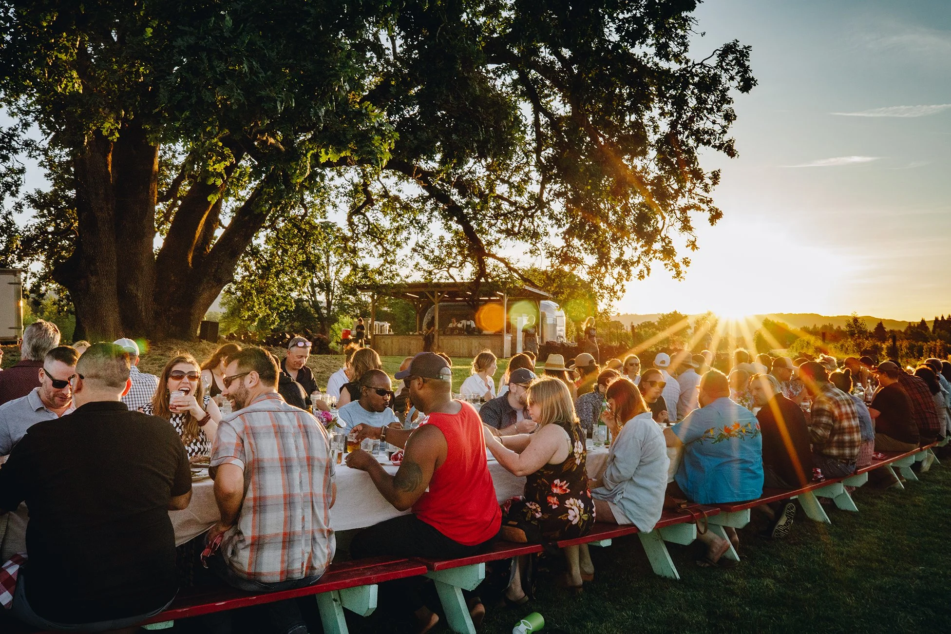 Farm to Plate | Topaz Farm