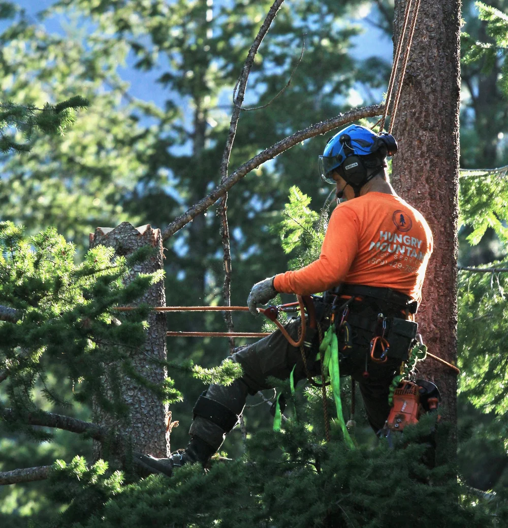 Hungry Mountain Tree Service-Lake Chelan Tree Service