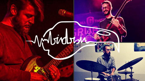 Birdbrain — Riverwest Records