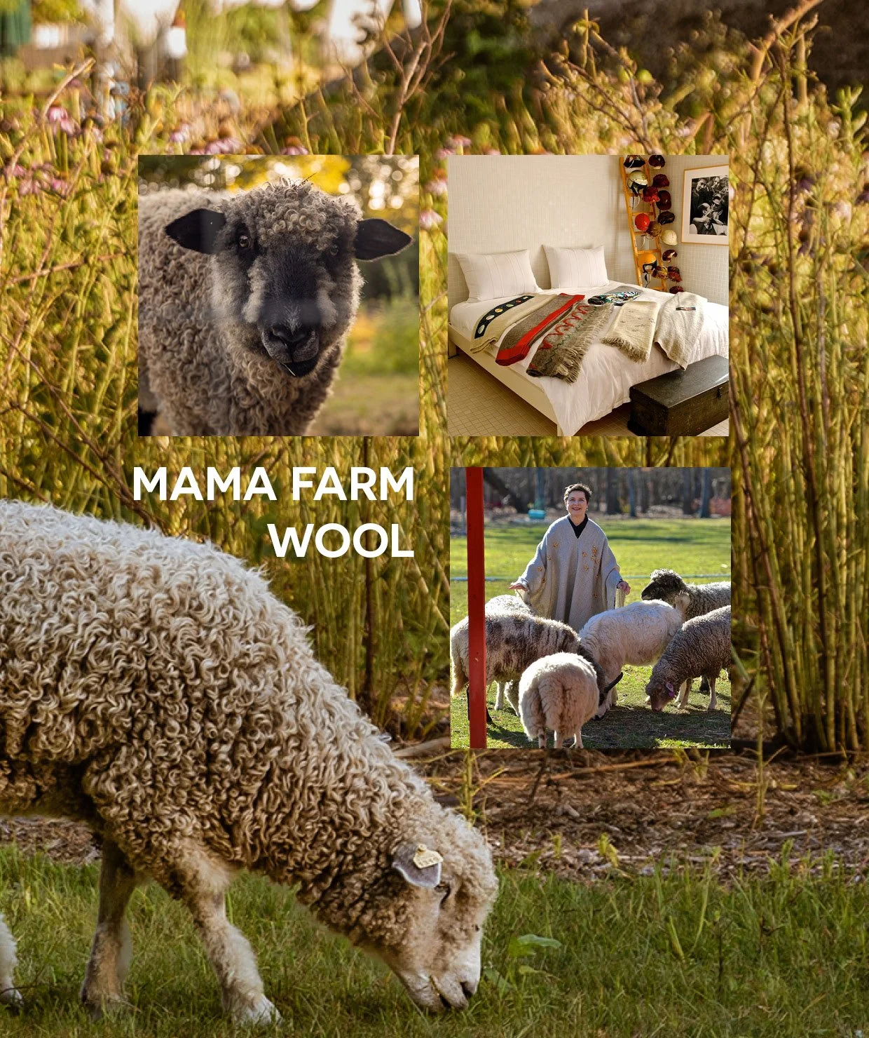B&B, Weddings and Private Events | Mama Farm