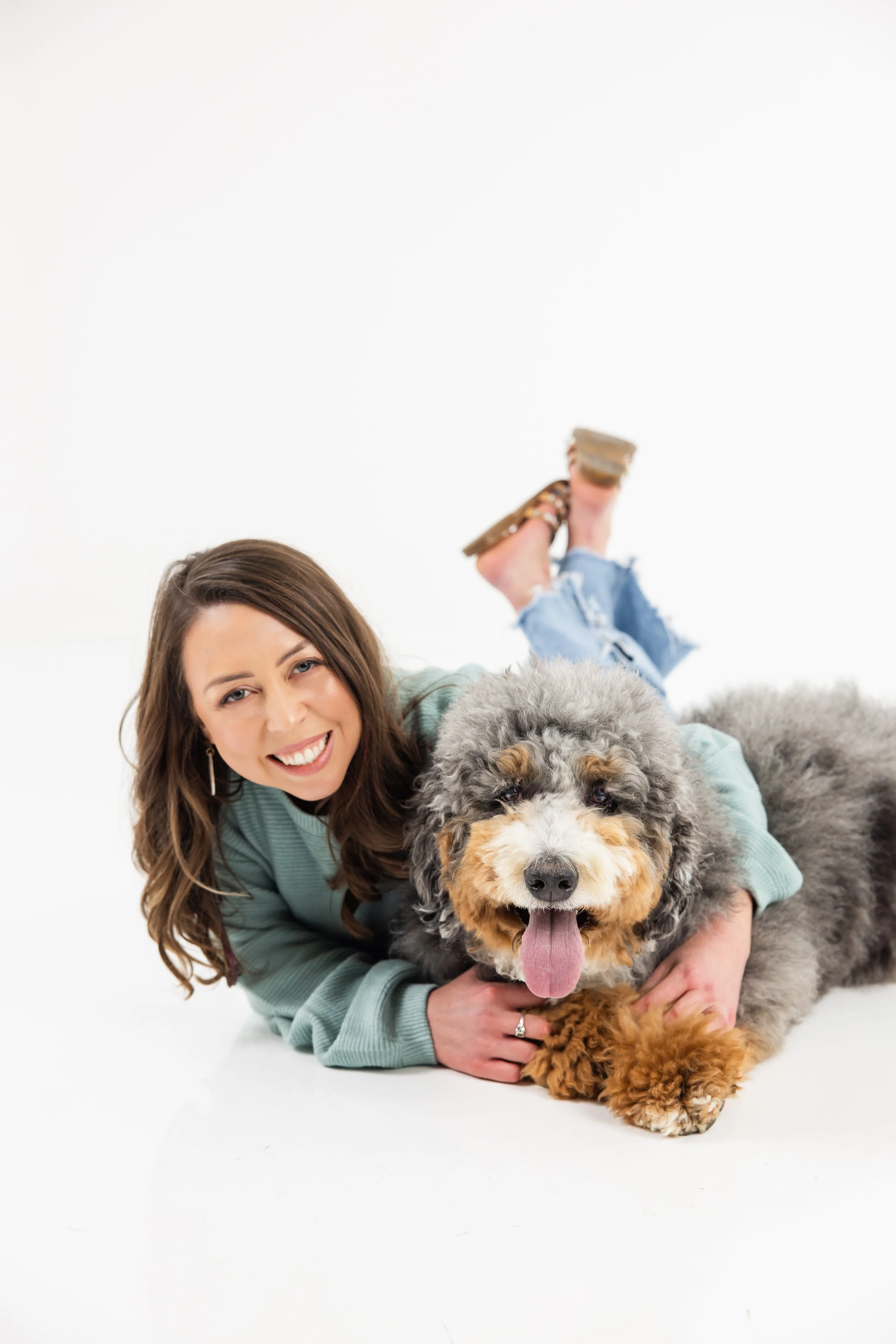 Bernedoodles and Cavapoo Puppies