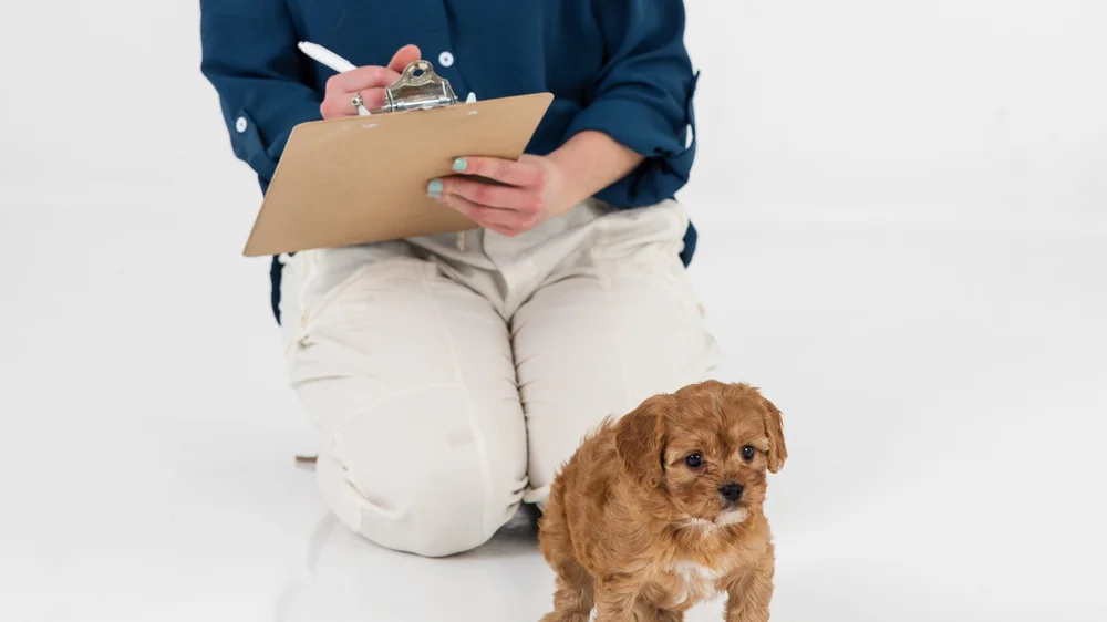 Volhard Temperament Testing | Matching Puppies with Purpose — Pacific ...