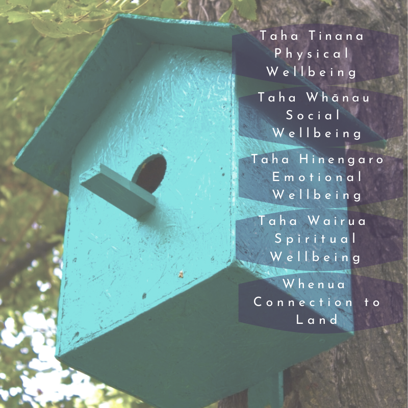 Whakapapa — Whānau_Whanake