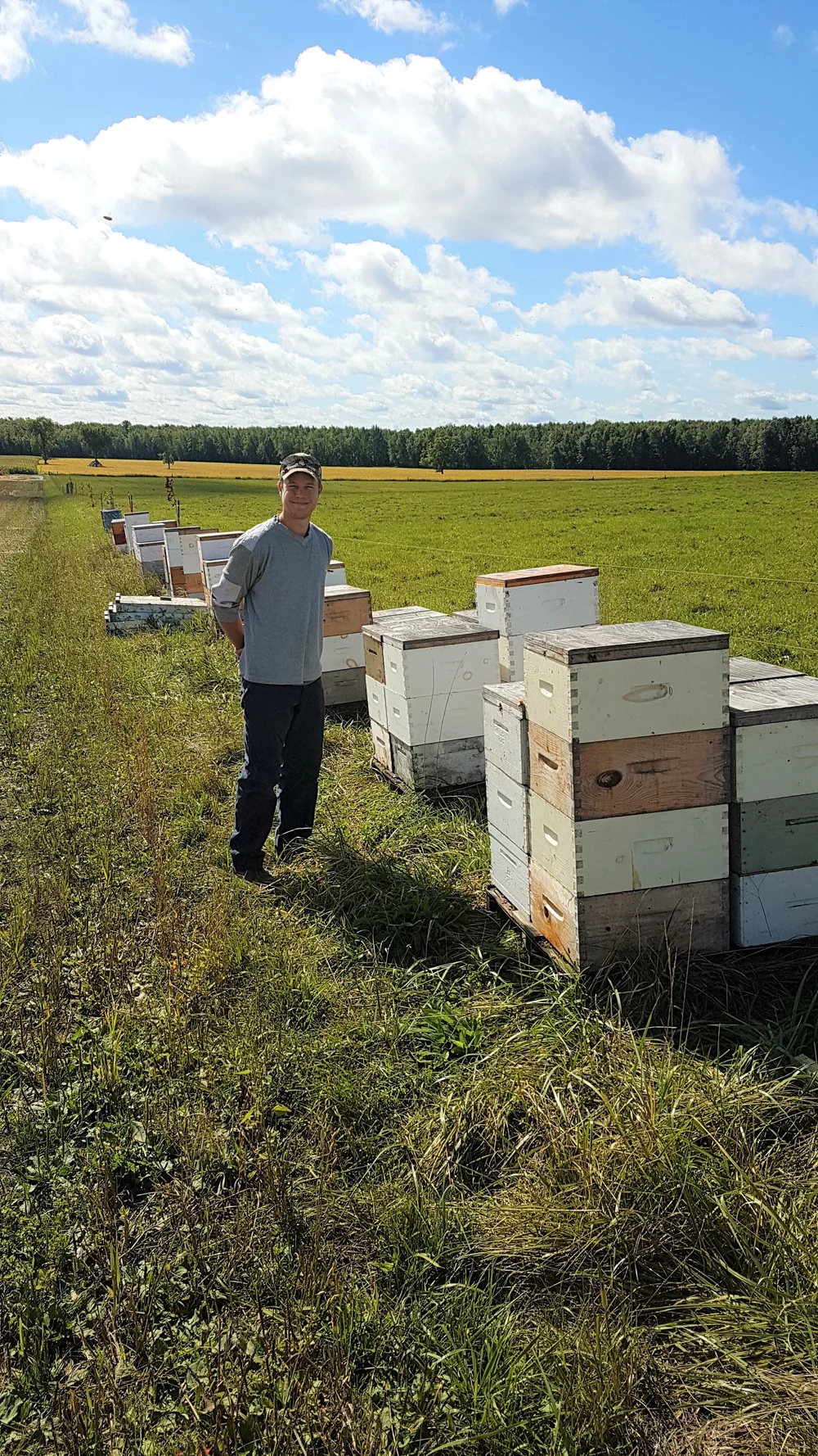 Our Story — Greenock Food Collective