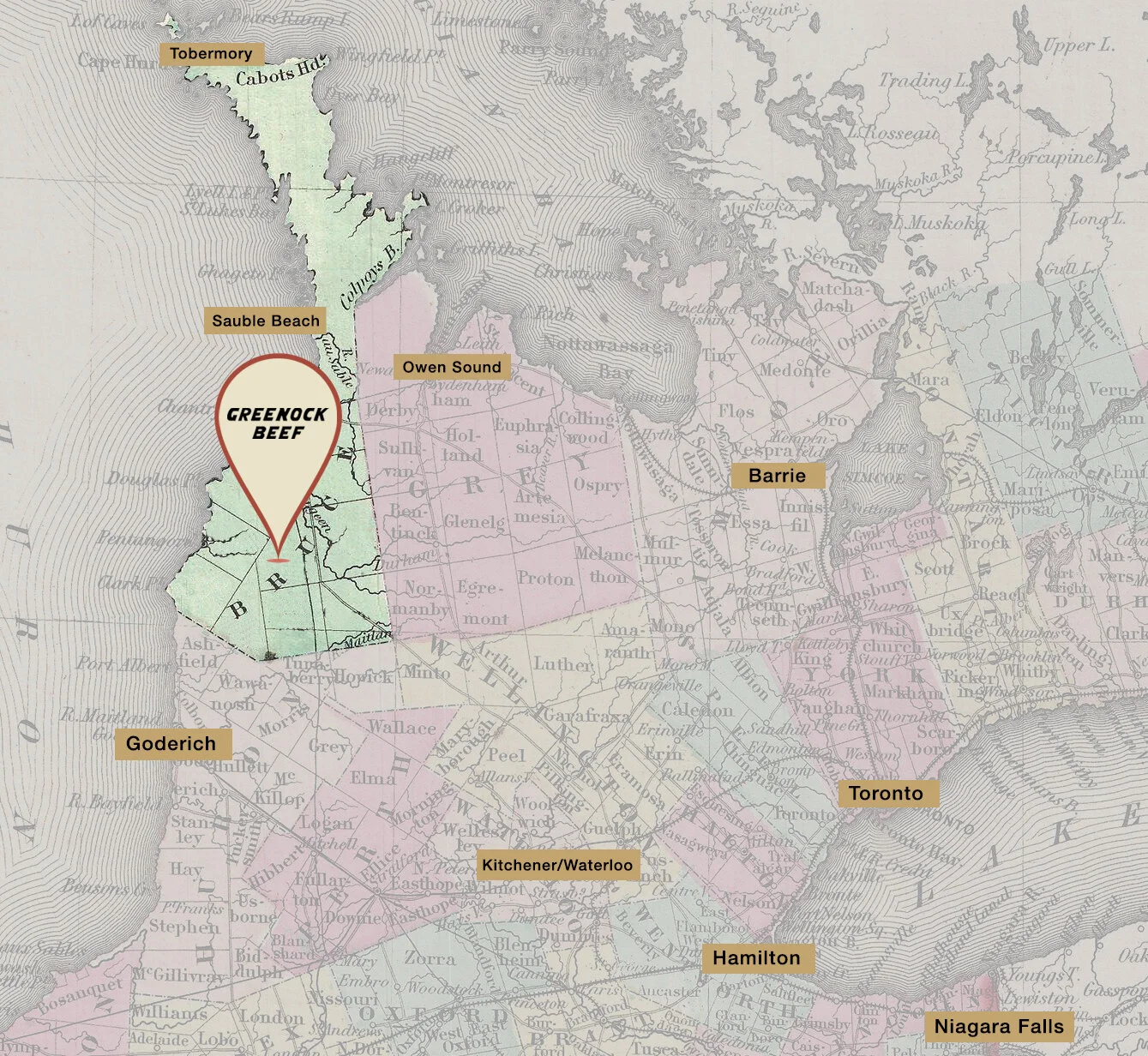 Greenock Food Collective