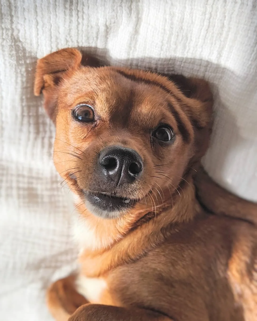 True North Rescue Mission