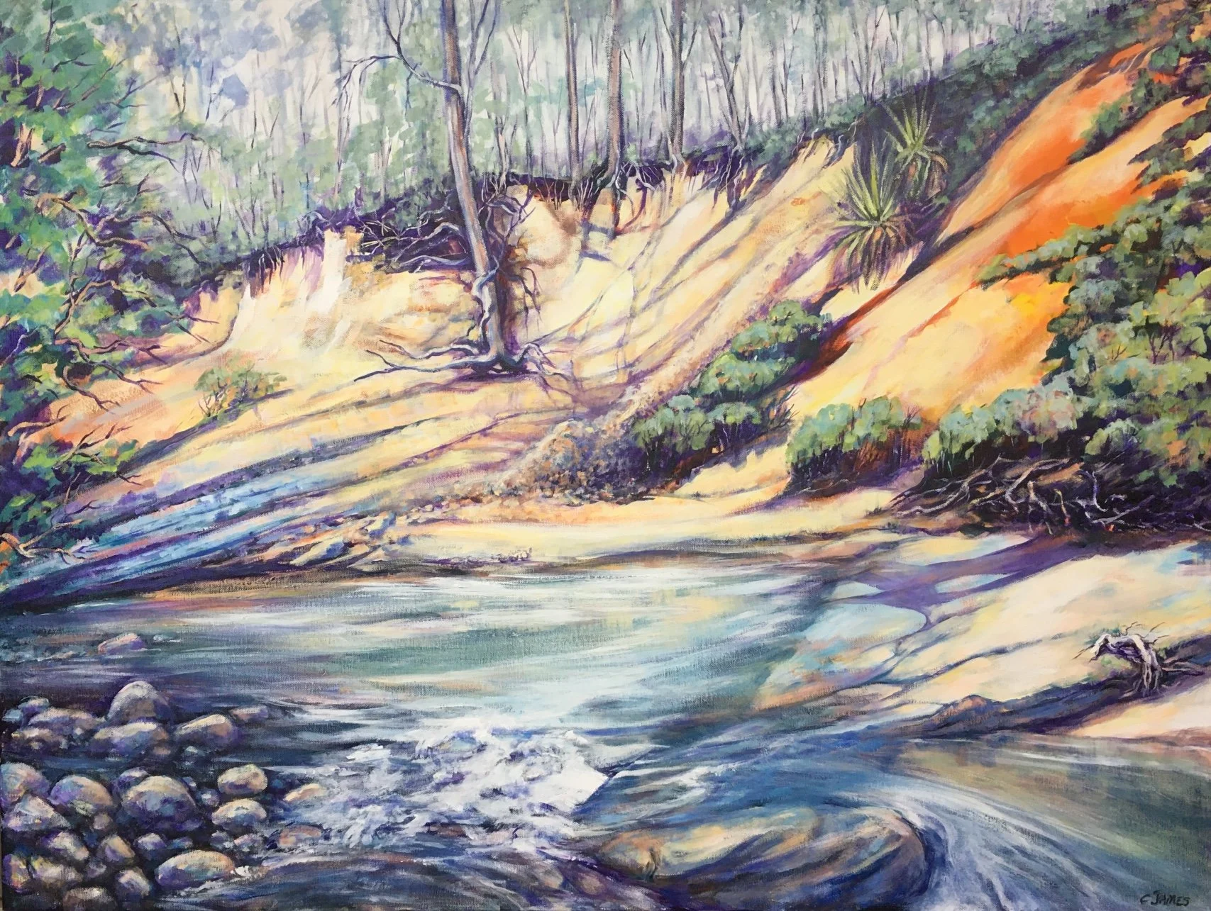 Whitsundays Art Prize Finalist Gallery — 2022 Whitsundays Arts Festival