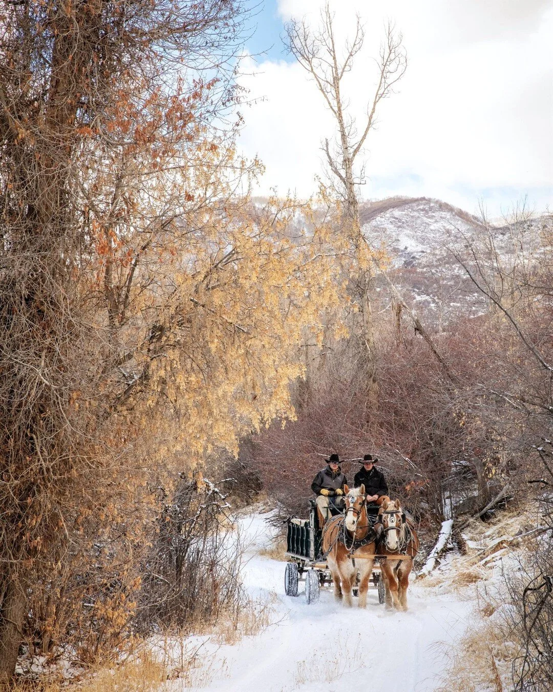 Local Foreigner, Luxury Travel Consultancy