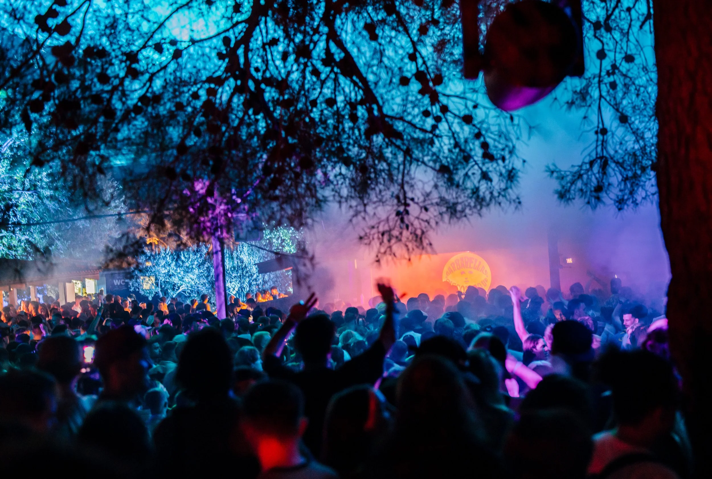 Dimensions Festival 2024