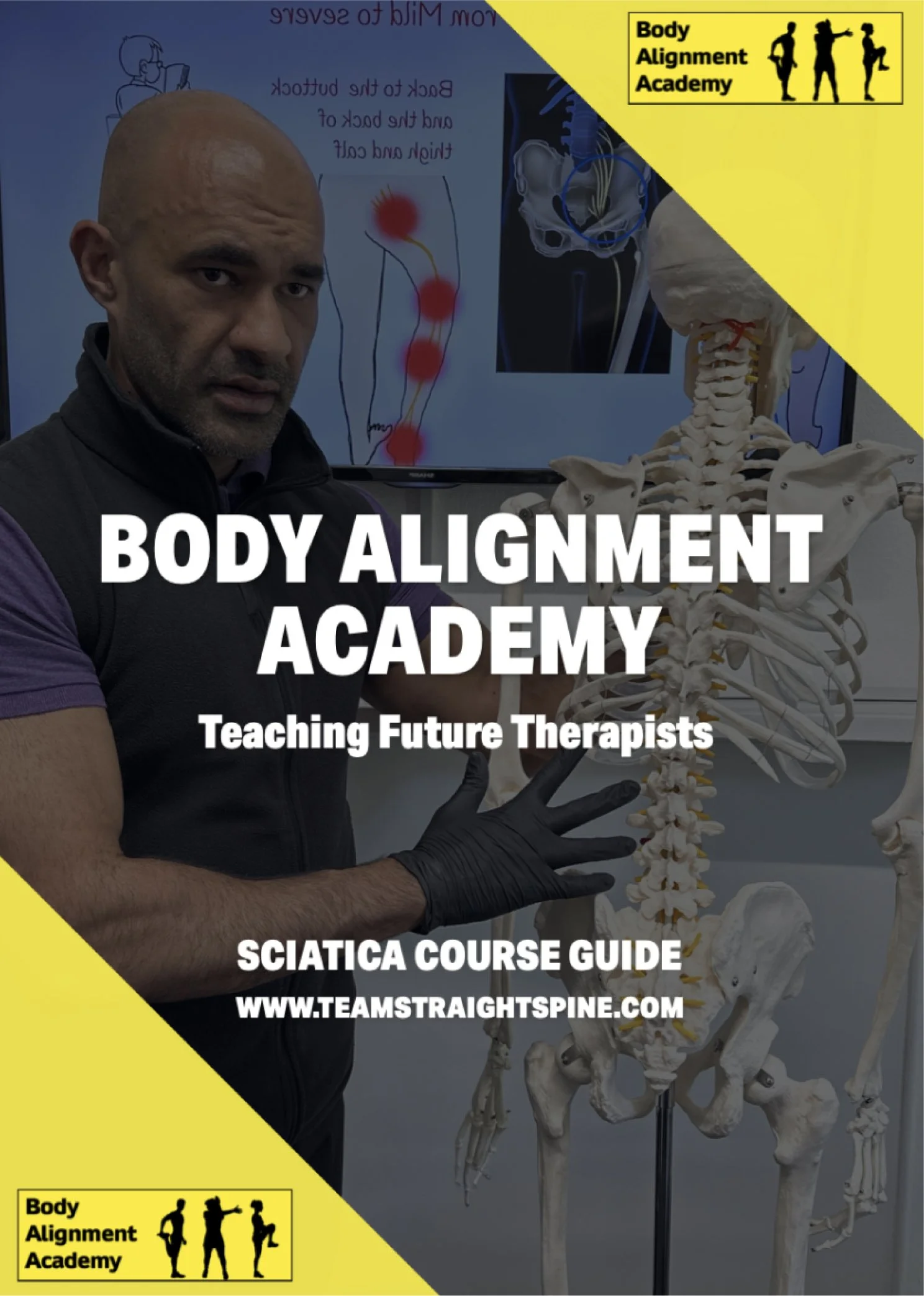 Body Alignment Academy — Body Alignment Clinic