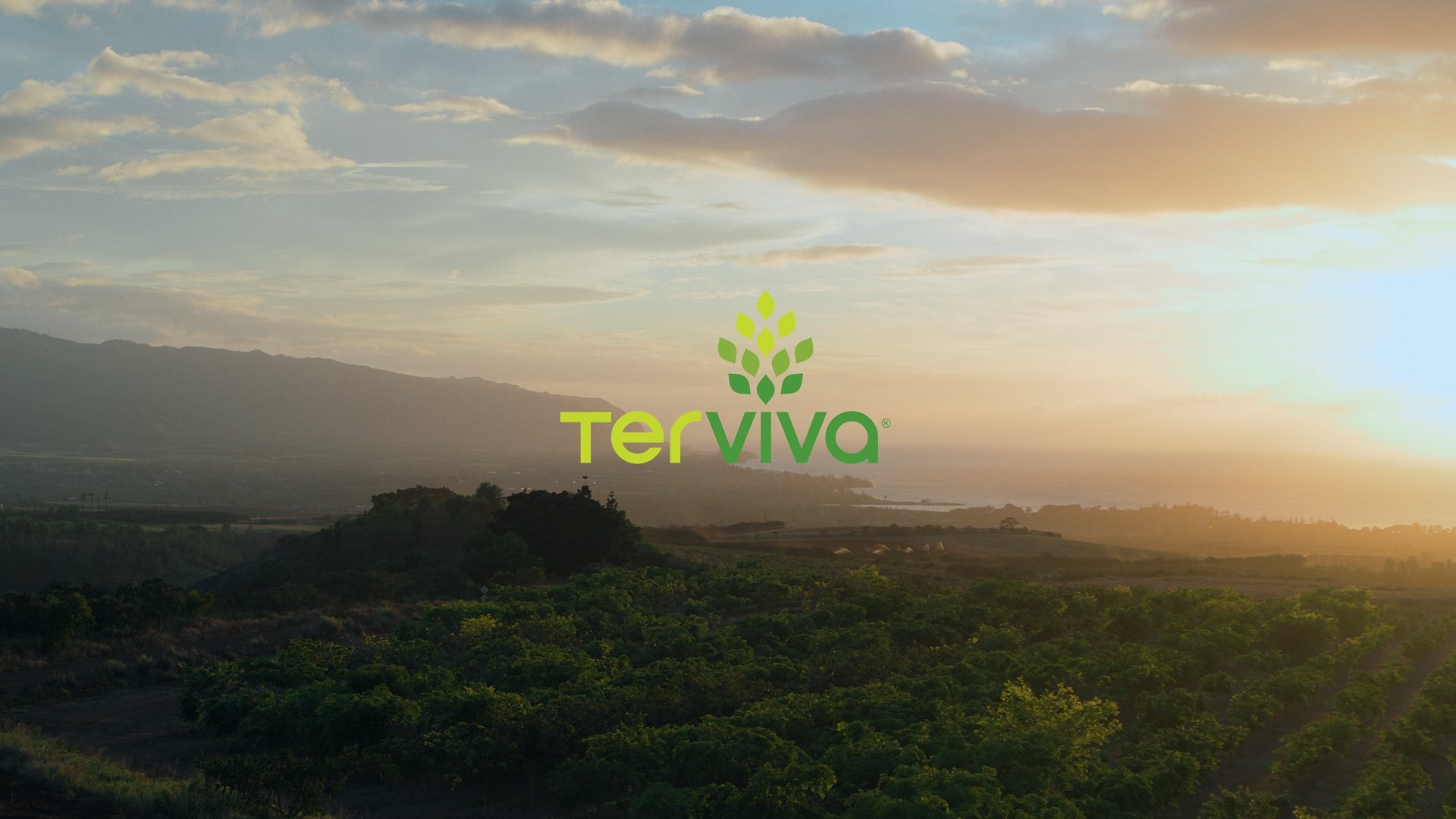 Terviva — Luke Adams