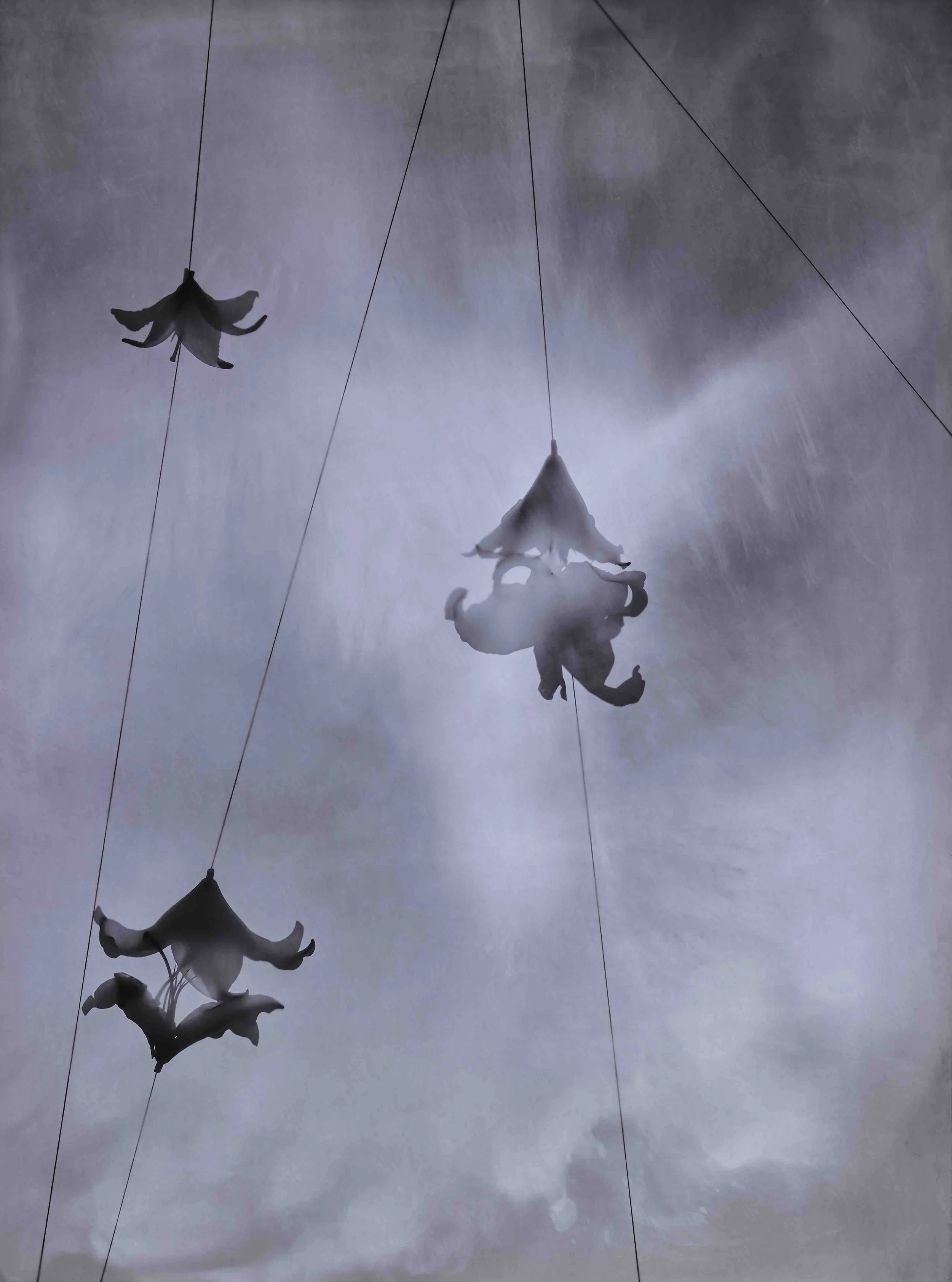 Works — Kunié Sugiura