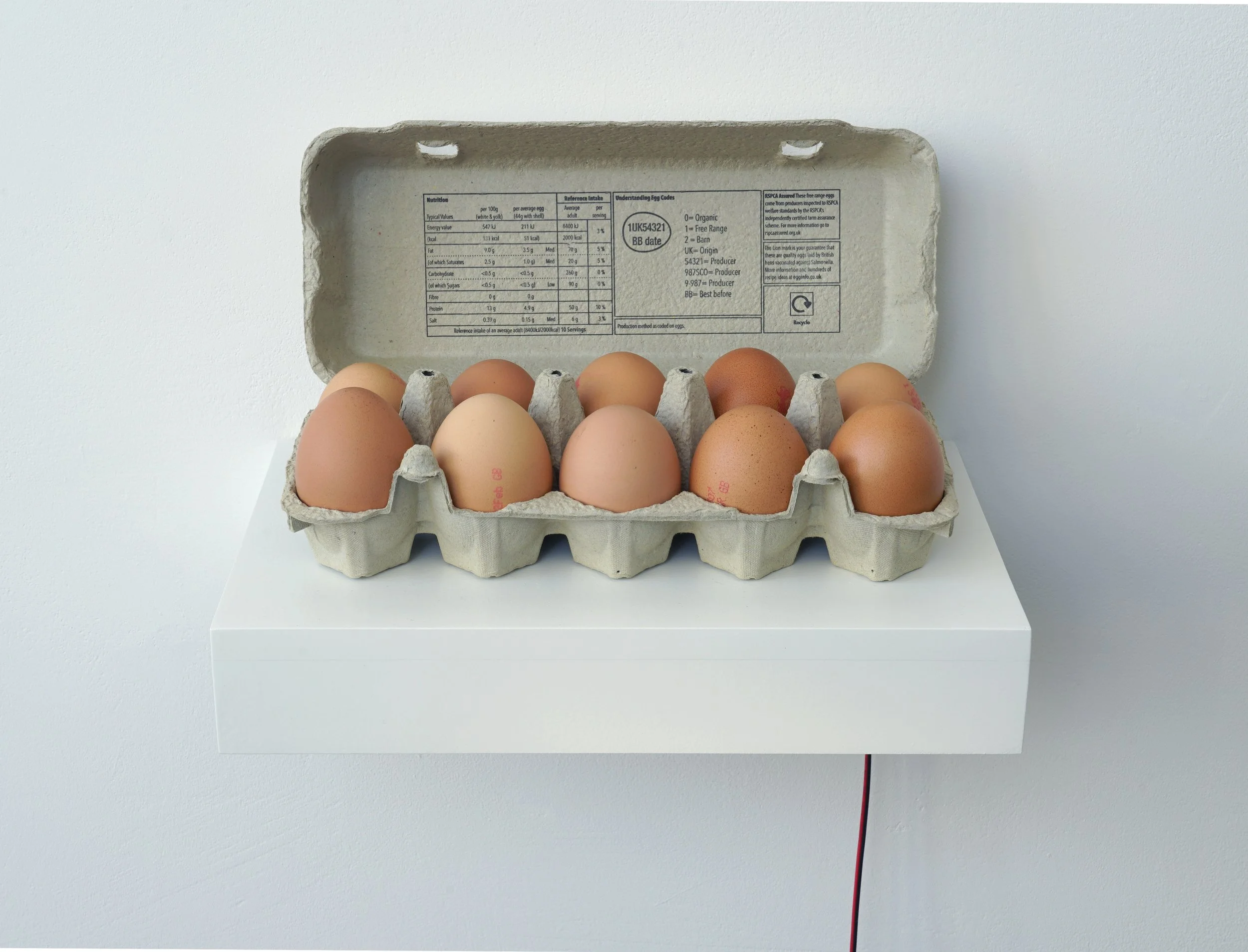 Clara Hastrup Solo Exhibition — Strange Cargo Arts, participatory arts ...