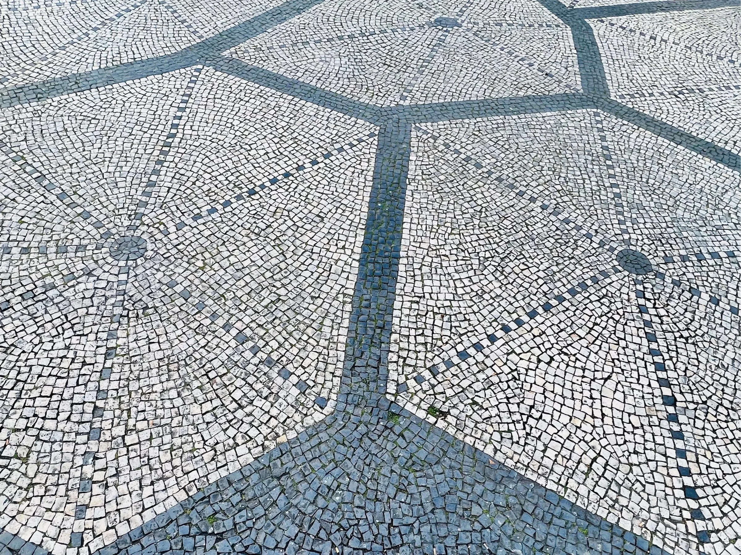 Dark chocolate avocado mousse — Rae Lambert