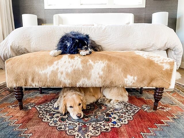 Everyday Interior Design