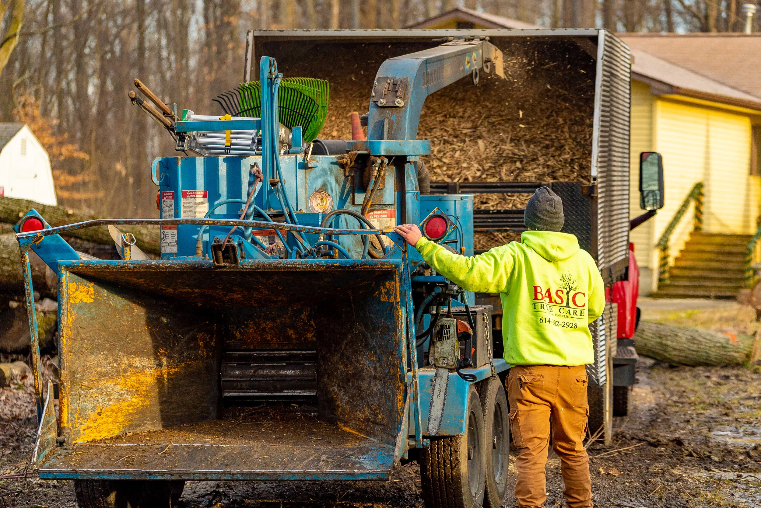 Our Work — Basic Tree Care