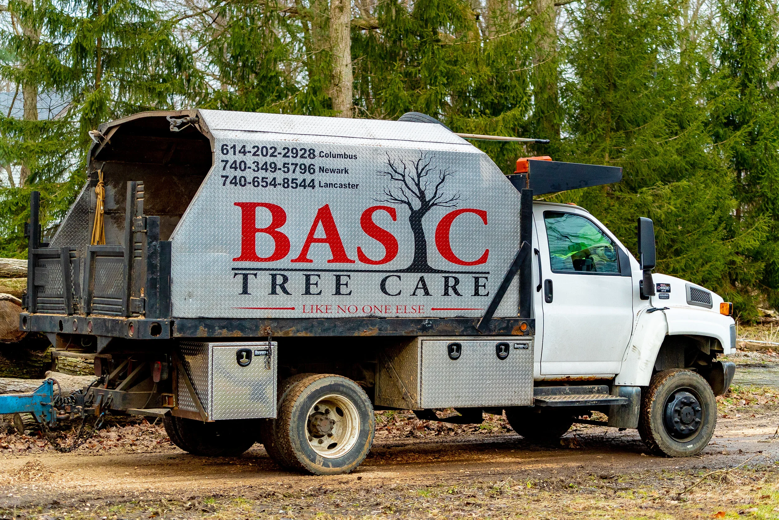 Our Work — Basic Tree Care