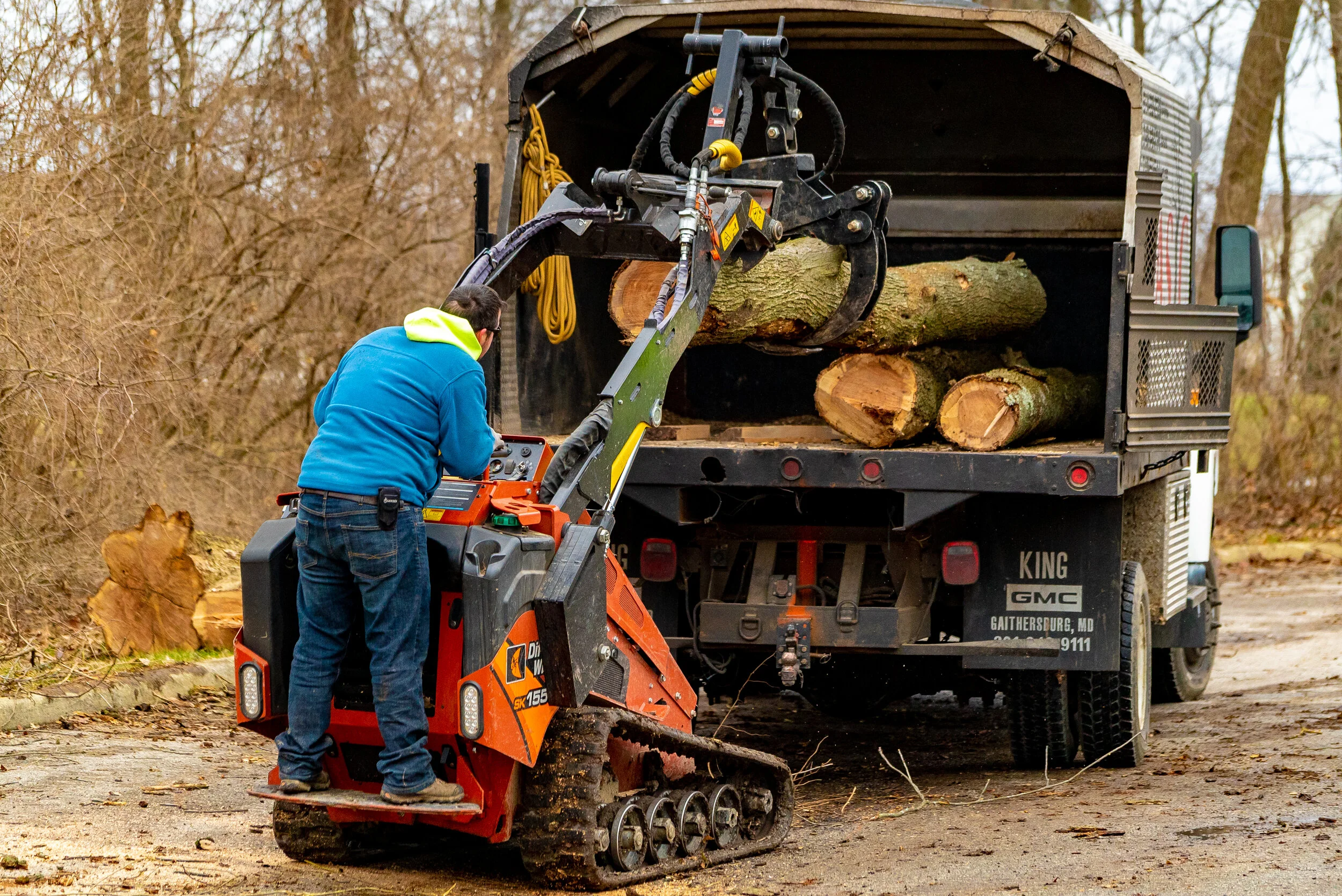 Our Work — Basic Tree Care