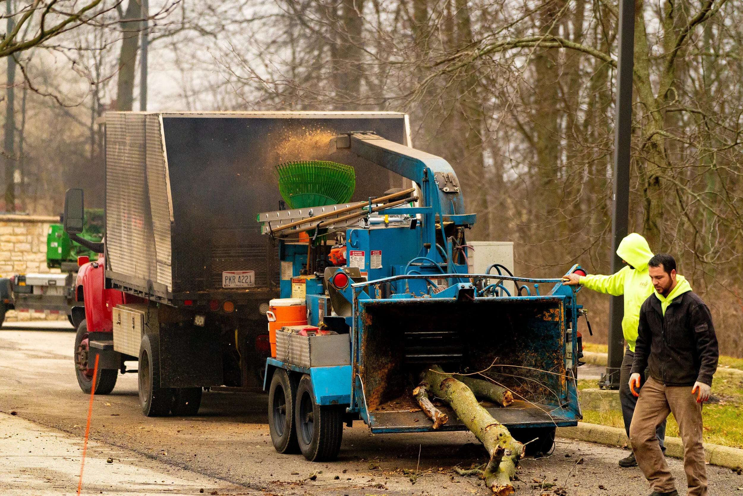 Our Work — Basic Tree Care