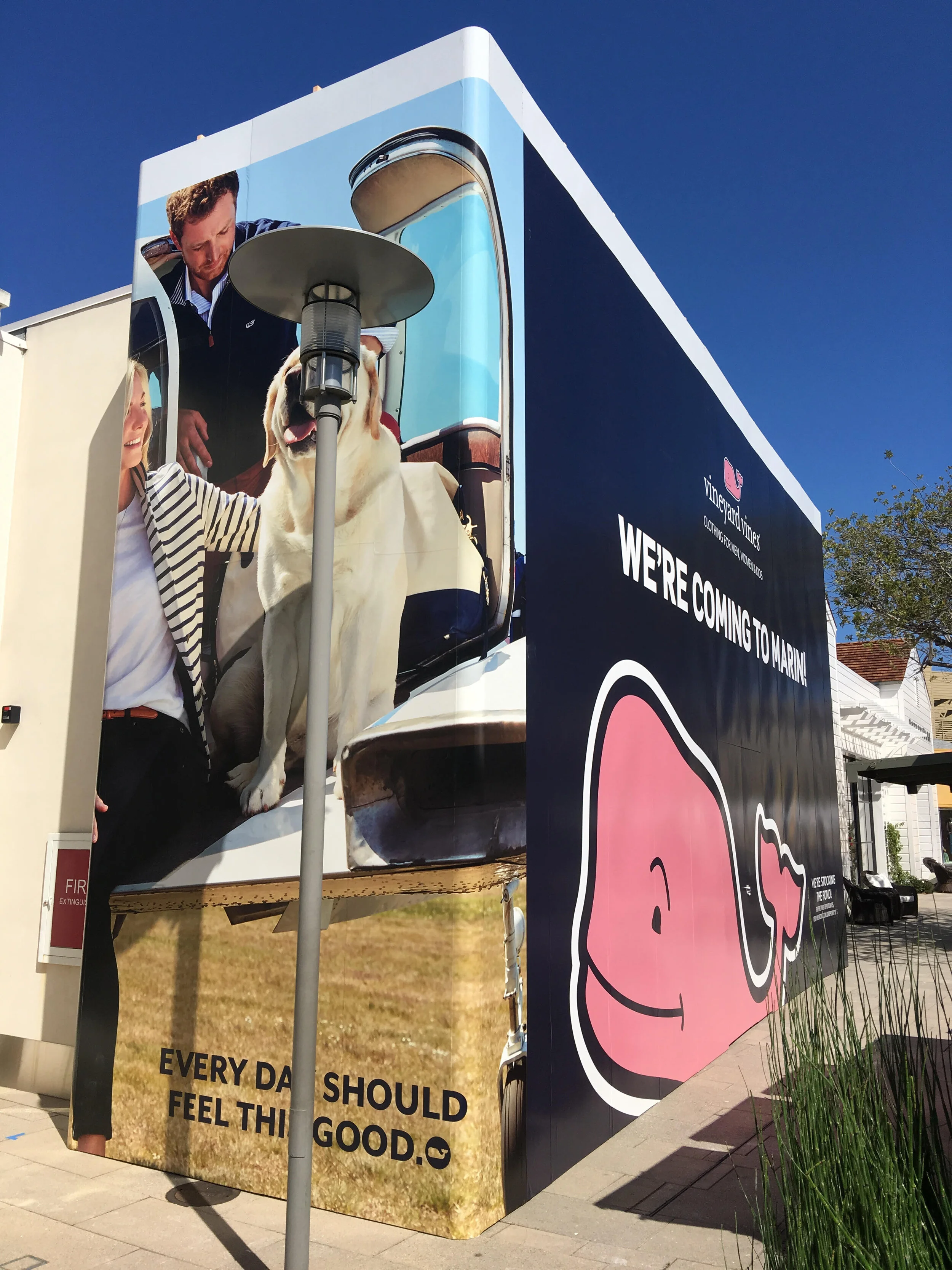 Wall Wraps & Murals — Davis Sign Co.