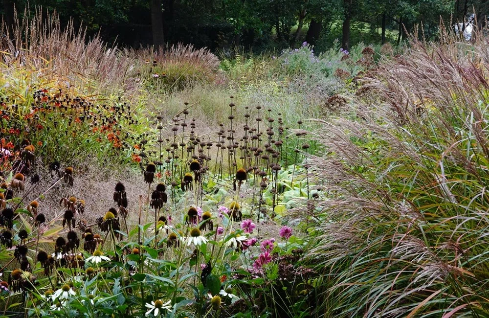 Piet Oudolf’s visionary gardens, and their marriage of architecture ...