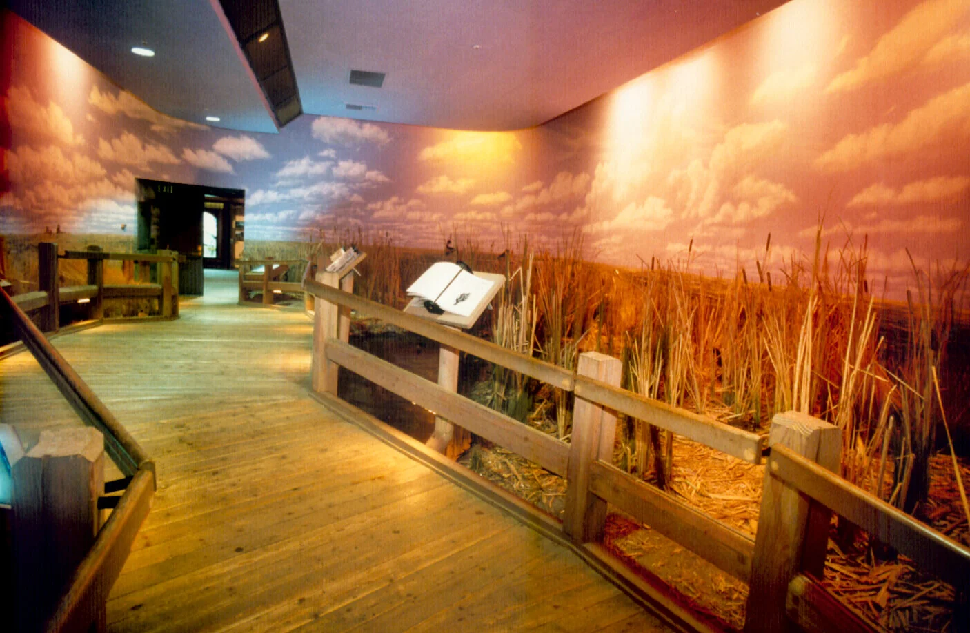 natural history museum, custom modern exhibition & research space ...